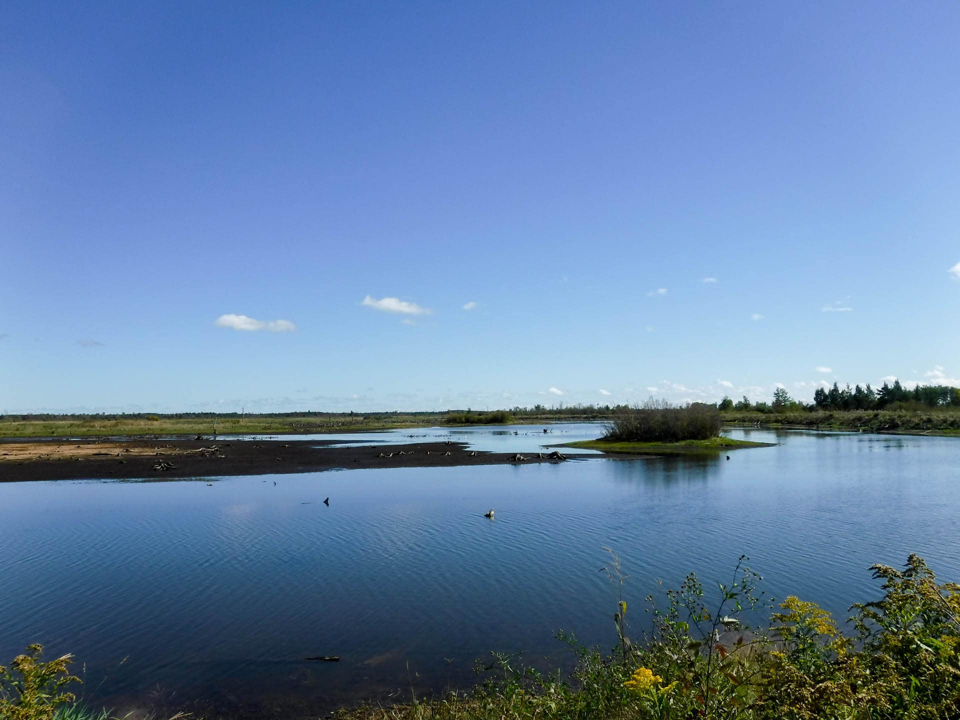 Tuttle Marsh Wildlife Area - Tawas 1streetover travel blog travel