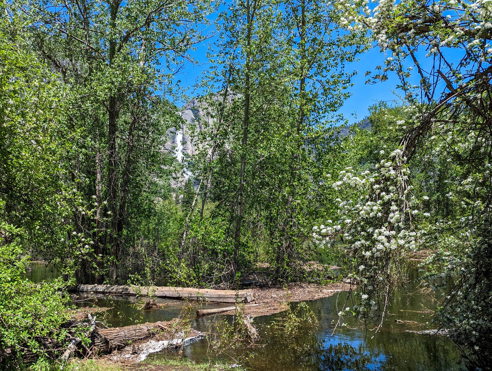 Sentinel Falls - Yosemite National Park 1streetover travel blog