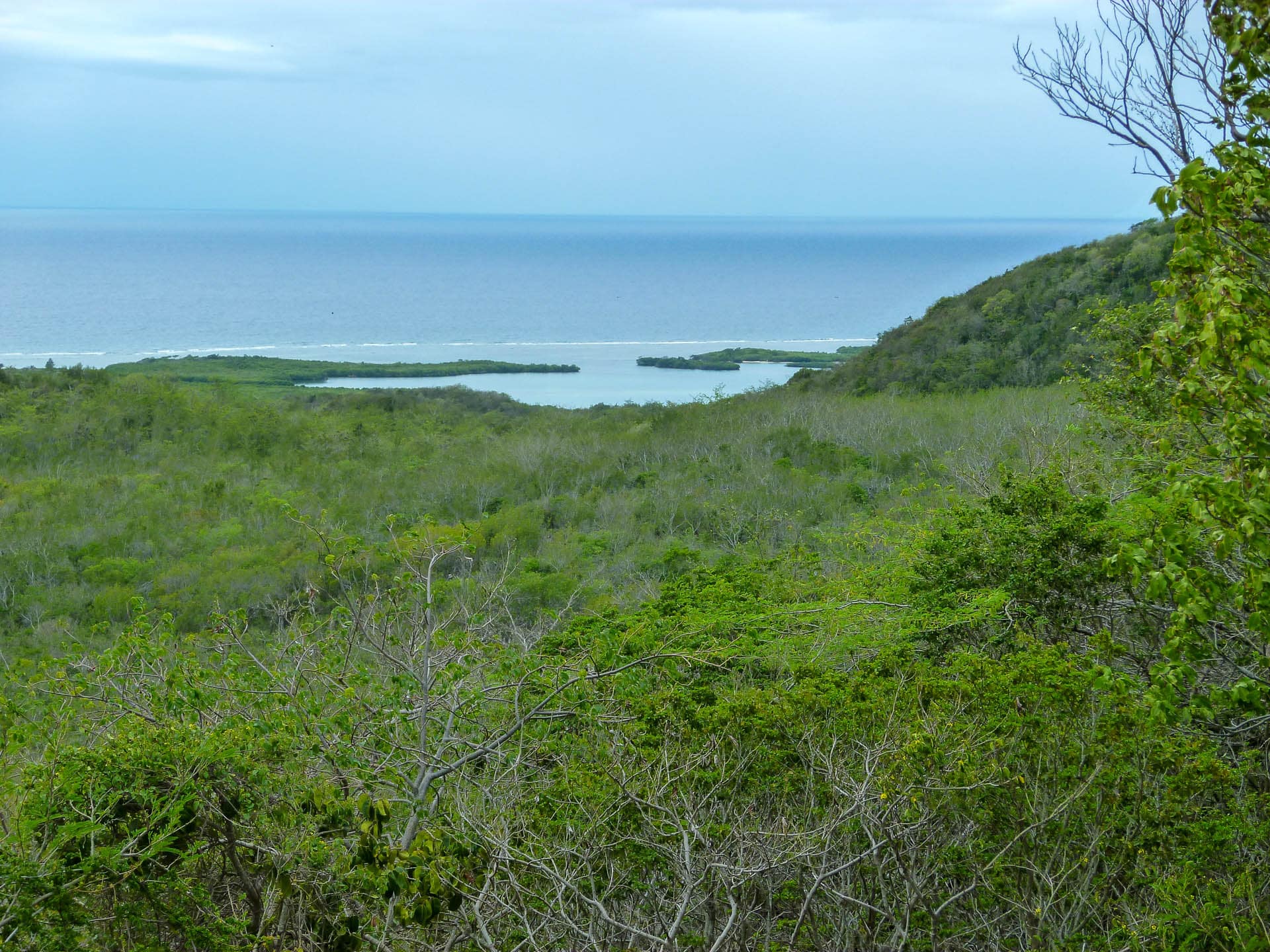 Guanica Dry Forest - Puerto Rico 1streetover travel blog travel