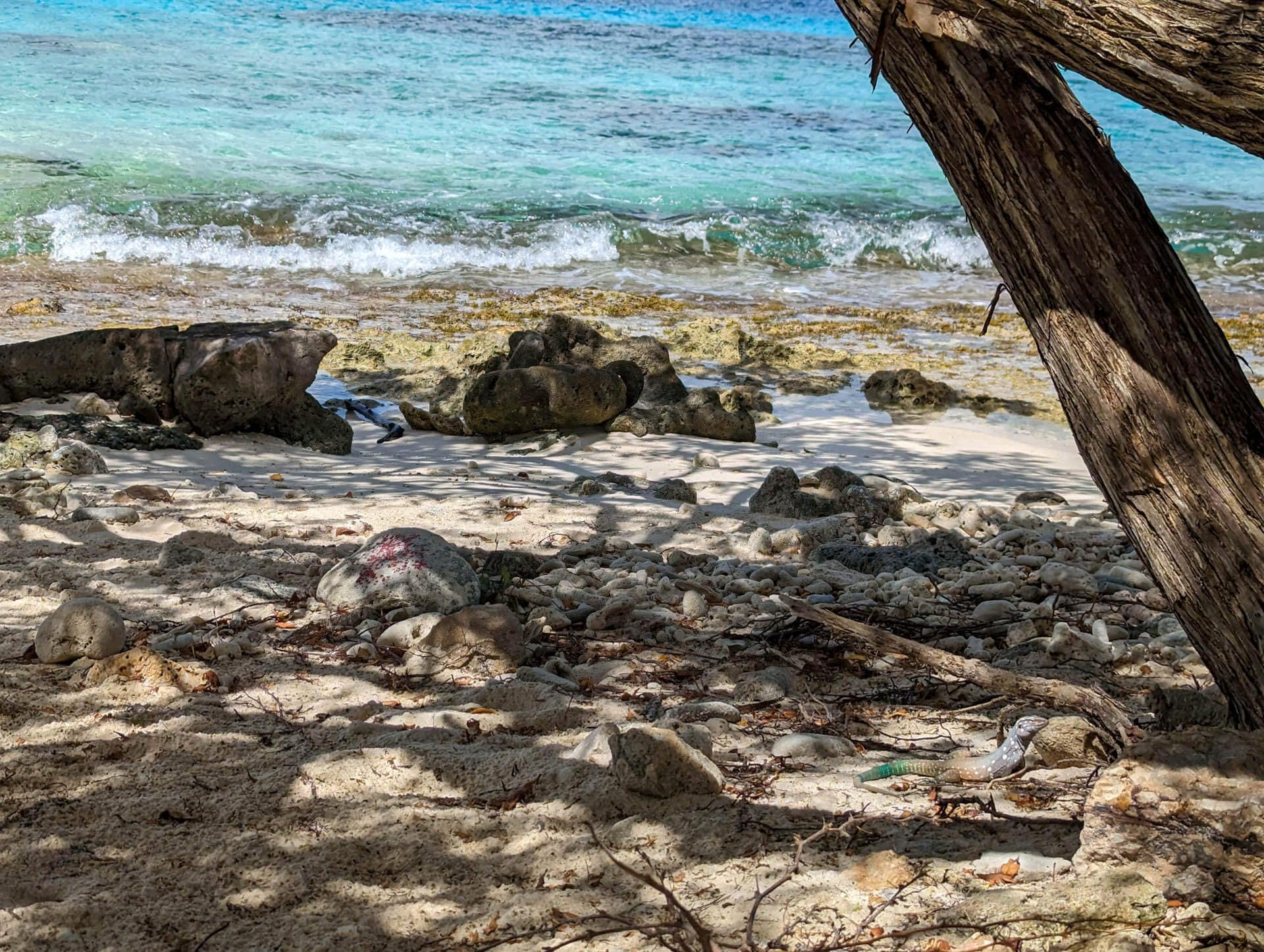 Bonaire Beaches - Bonaire 1streetover travel blog